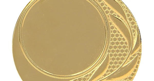 Aukso medalis 40 mm